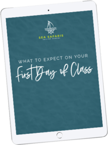 Ready to learn how to sail? | Sea Safaris Sailing School